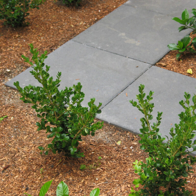 Master Paver | 400 x 400 Budget Large Format Pavers Adelaide